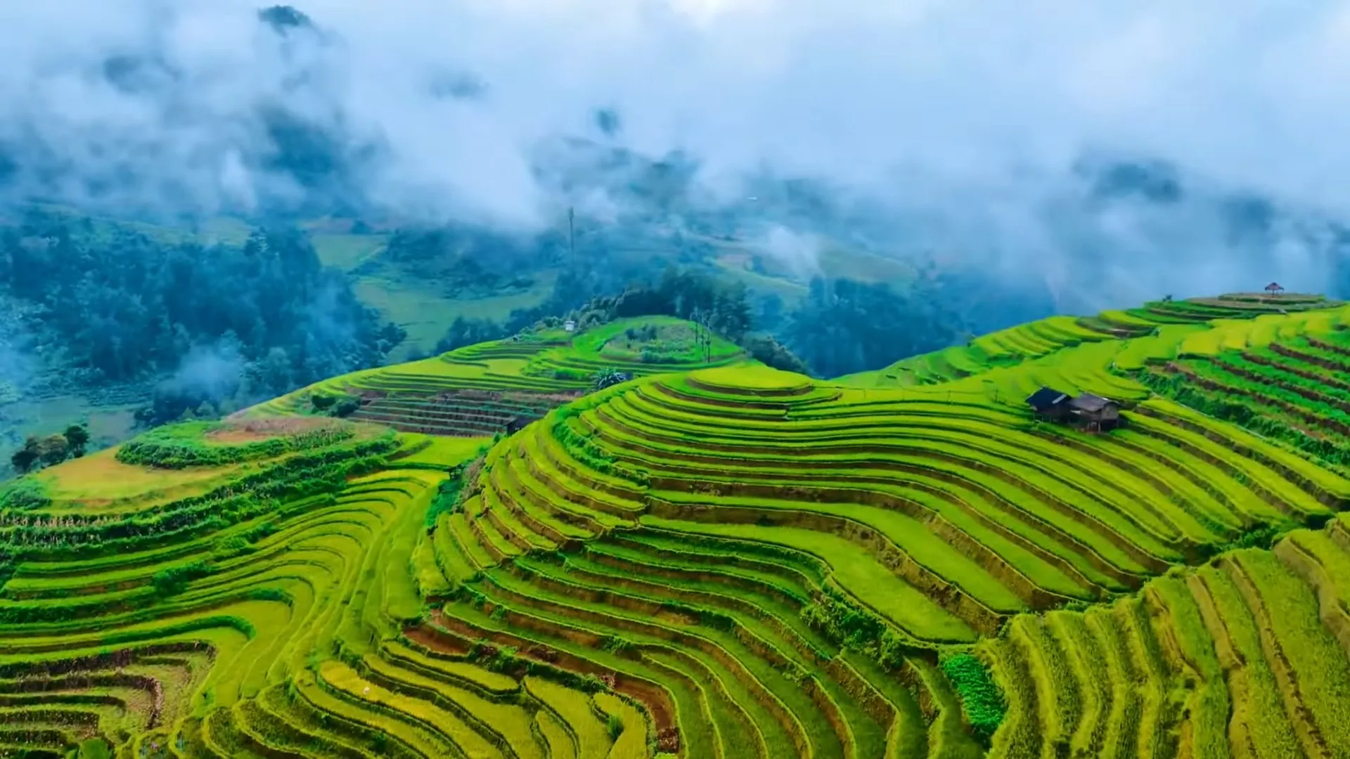 Explore Stunning Rice Terraces of Sapa, Vietnam